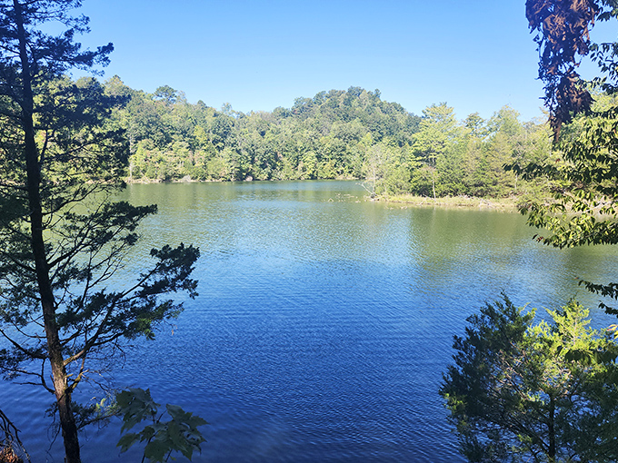 Mirror-like waters reflect the surrounding forest, creating twice the beauty with none of the Instagram filters.