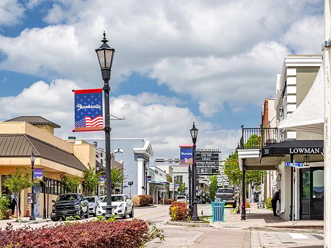 Brooksville's Journal Plaza welcomes visitors with its farmer's market &ndash; proof that fresh and local doesn't have to mean expensive.