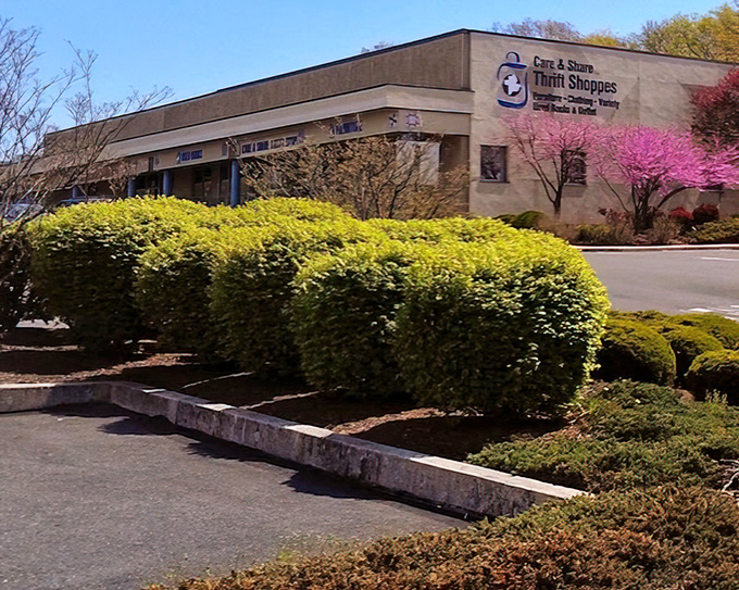 Care & Share's landscaped entrance offers a hint of the organized treasure trove waiting inside.