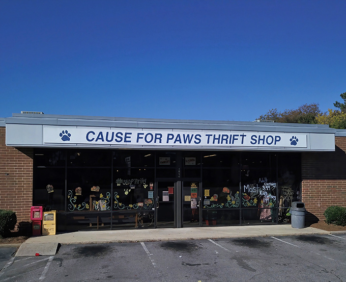 Paw prints lead the way to this animal lover's paradise where shopping saves furry lives one treasure at a time.