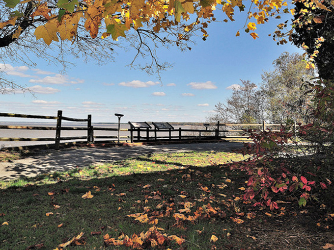 Chippokes' historic landscape unfolds like a painting, where every fence post tells a story of Virginia's farming heritage.