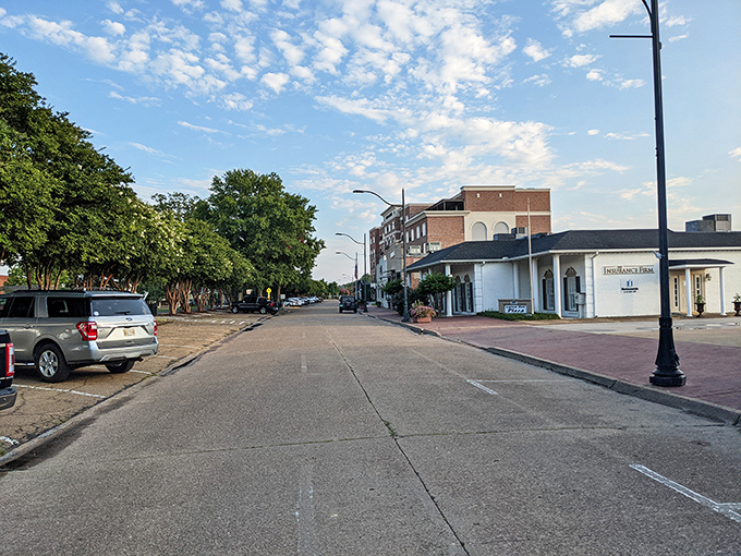 Cleveland's tree-lined streets offer shady respite during Mississippi summers&mdash;nature's air conditioning that won't inflate your electric bill!