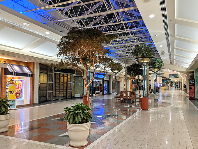 Trees indoors? It's not the Amazon rainforest &ndash; it's the lush interior of a Delaware mall where shopping feels like a tropical vacation for your wallet.
