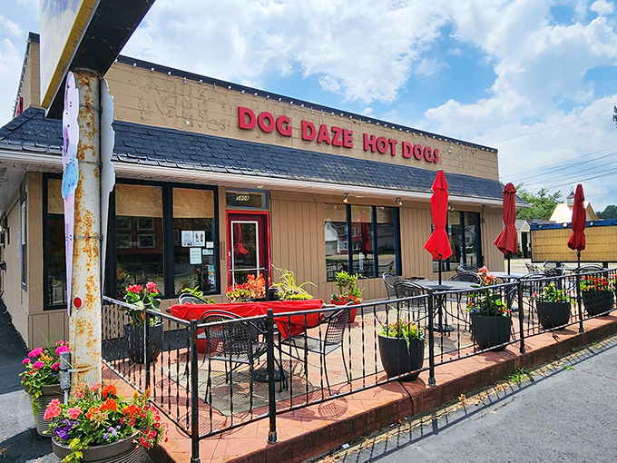 Dog Daze's welcoming patio, bursting with colorful flowers, invites you to enjoy gourmet hot dogs in Canton's fresh air.