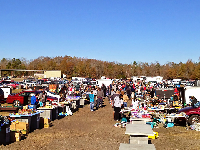 Blue skies and bargains await! Florence Flea Market transforms ordinary weekends into extraordinary treasure hunts.