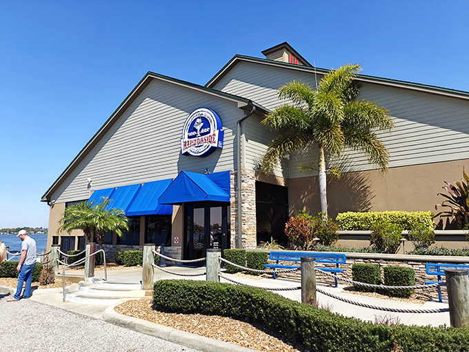 Harborside proves inland waters produce grouper sandwiches worthy of any coastal competition in Florida.