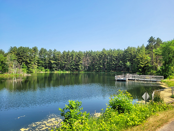 Mirror-like waters reflect towering pines at Hartman Creek State Park&mdash;nature's version of a perfect symmetry selfie.