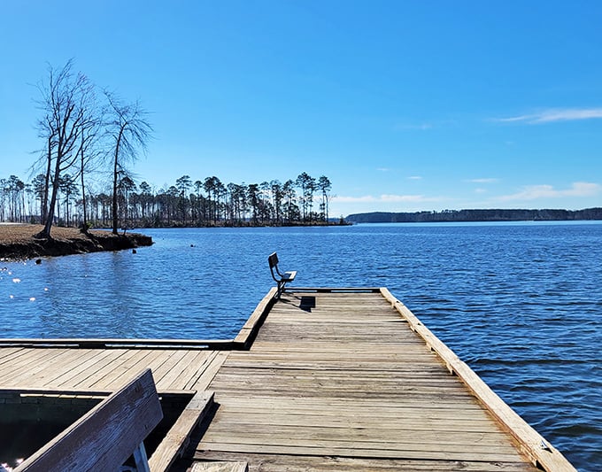 Lake reflections at Jimmie Davis create that perfect mirror effect, doubling your view and reminding you why north Louisiana's lakes feel magical.
