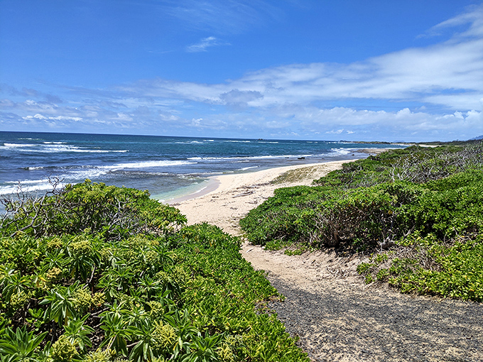 Wild beaches meet rugged coastlines where surfers chase waves bigger than garage doors.