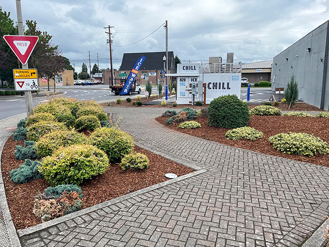 Even the landscaping in Kelso says "affordable living!" Those shrubs are better maintained than my retirement portfolio, and twice as green!