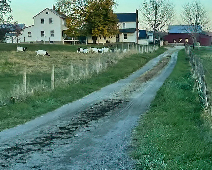 Small-town America at its most authentic. Baltic's main street offers a glimpse into life's slower, more deliberate pace.