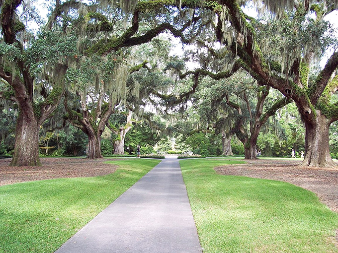 Murrells Inlet's marshwalk proves that the best dinner theater features dolphins as the opening act. 