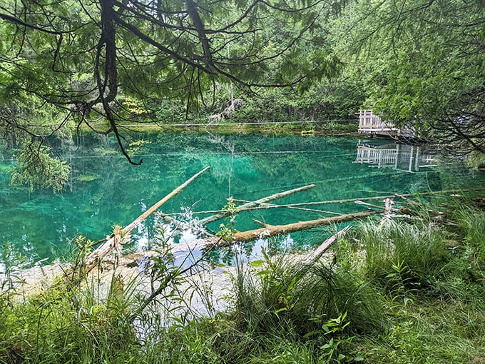 Mother Nature's infinity pool! Kitch-iti-kipi's crystal-clear waters reveal an underwater world that rivals any Caribbean destination.