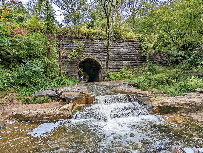 History meets nature at Patapsco Valley, where this stone tunnel stands as a monument to Maryland's industrial past.
