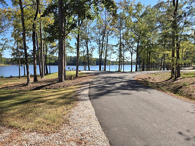 Where the road ends and the weekend begins. This paved path winds down to the calm, clear lake, inviting you to leave the hustle behind and find a shady spot by the water.