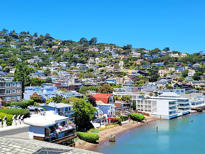 Sausalito's waterfront shopping district invites you to wander beneath palm trees, where every storefront seems to say, "Come in, stay awhile."