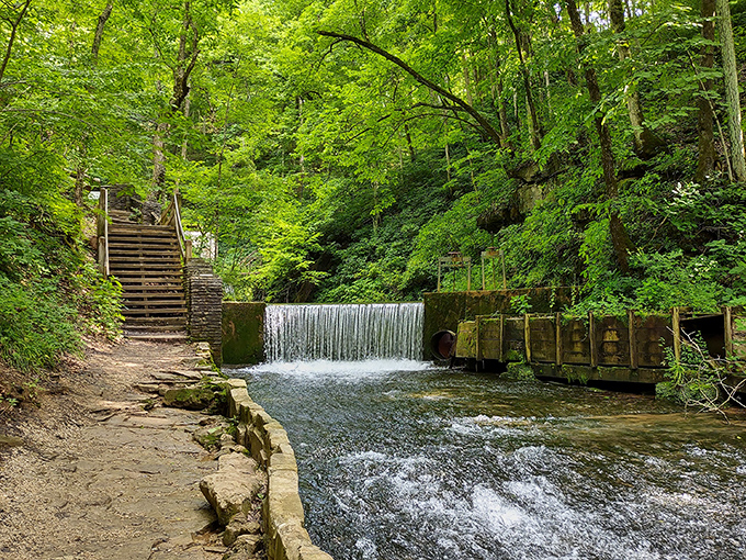 Nature's staircase winds through greenery so lush, it feels like stepping into another world.