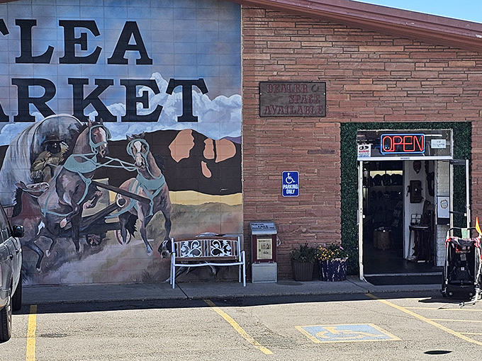 Western charm meets treasure hunting! This horse mural welcomes you to a flea market with authentic Colorado character.