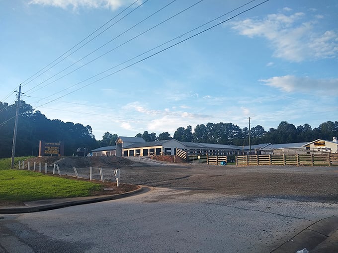 West Georgia Flea Market's no-frills approach puts the focus where it belongs&mdash;on the treasures waiting to be discovered.