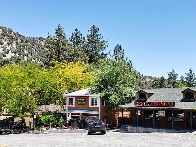 Wrightwood's charming main street welcomes you with mountain views and that small-town feeling we all crave.