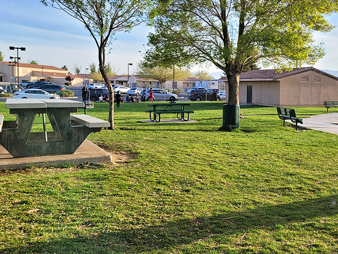Simple pleasures in Adelanto include community parks where neighbors gather under generous shade trees.