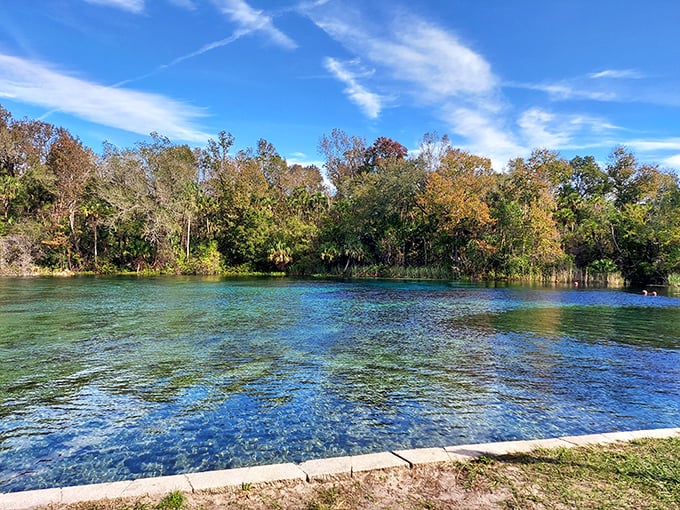 Palm trees, clear water, and not a cruise ship in sight. Alexander Springs is Old Florida at its refreshing best.