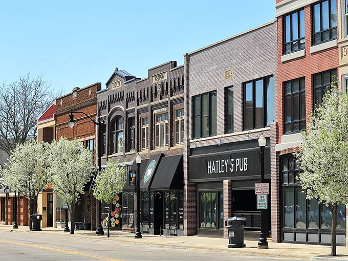 Spring blossoms frame Beloit's charming storefronts, where window shopping becomes an afternoon's free entertainment.