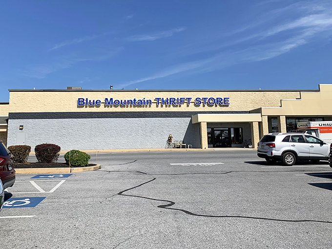 Nestled in a strip mall, Blue Mountain Thrift Store offers a surprisingly vast selection behind its modest storefront.