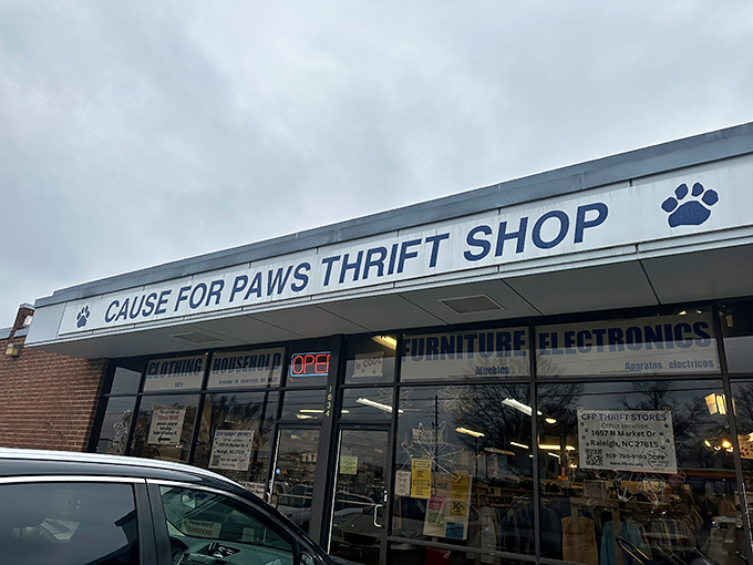 Even on cloudy days, Cause for Paws shines bright with purpose &ndash; turning secondhand goods into first-rate care for animals in need.Add to Conversation
