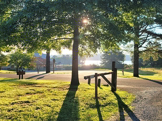 Marina magic! Where boats bob like colorful toys against a backdrop of Blue Ridge foothills.