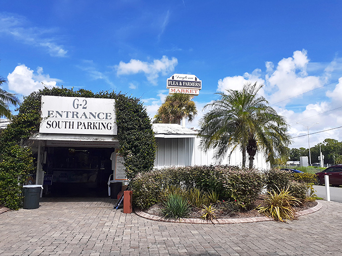 Vendor village! Under this massive canopy, sellers arrange their wares with the care of museum curators displaying precious artifacts.