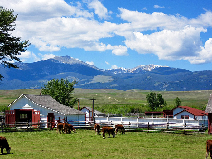 Those mountains aren't the only impressive view in Deer Lodge&mdash;check out those affordable property taxes on the horizon!