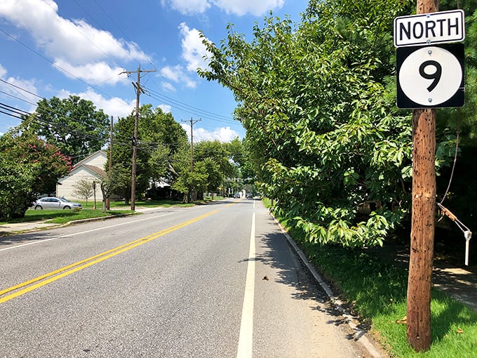 Route 9 stretches through Delaware City like a quiet promise of small-town living, where your Social Security check goes further than your morning walk.