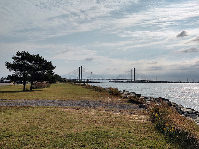 A tranquil view at Delaware Seashore State Park, where the bridge rises gracefully over calm waters under a soft, cloud-dappled sky.