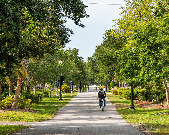 Dunedin's tree-lined pathways invite leisurely exploration. The perfect place to remember what walks were like before we all had smartphones!