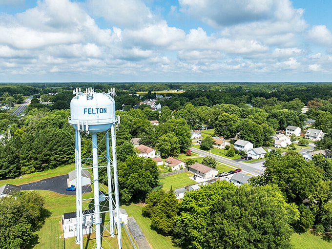 In Felton, that water tower isn't just infrastructure &ndash; it's the town's exclamation point on the landscape! 