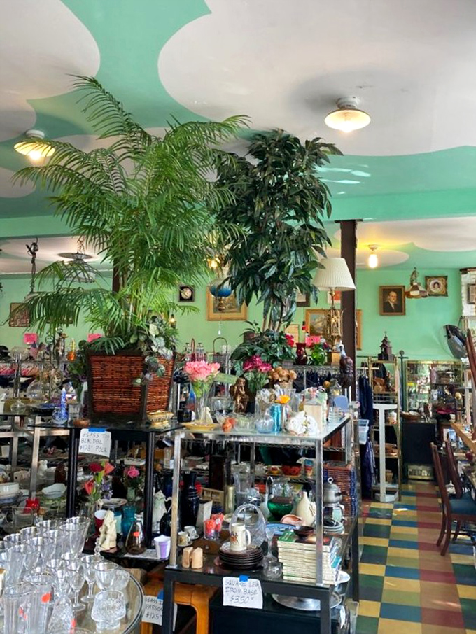 Jungle meets jumble sale! Those towering plants create a shopping oasis among vintage treasures and trinkets.