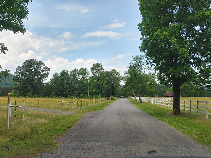 Country roads take me home! This peaceful Arkansas byway promises adventures at a pace where you can actually enjoy the journey, not just the destination.