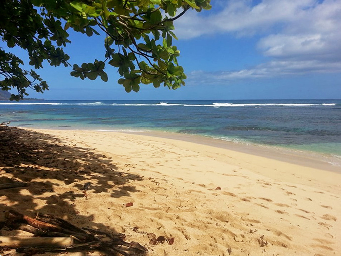 The secluded shores of Hideaway Beach feel like your own private discovery. That tree seems to be leaning in to whisper, "What took you so long?"