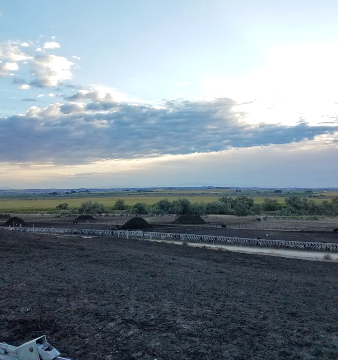 The wide-open spaces around Homedale mirror the breathing room you'll find in your budget when living here.