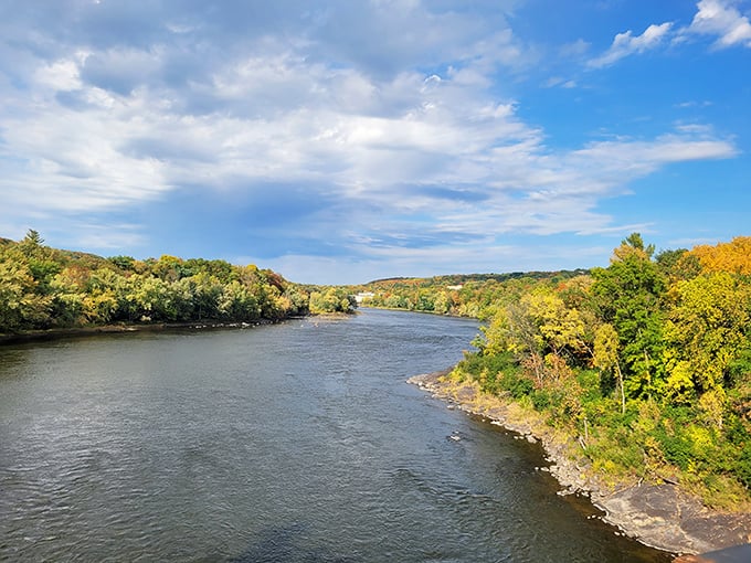 A tour boat navigates the narrow St. Croix River gorge, offering passengers front-row seats to nature's greatest rock show.