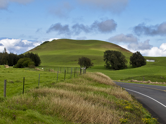 Ireland called&mdash;it wants its scenery back! Kohala's emerald hills roll alongside this perfect ribbon of asphalt like waves frozen in time.