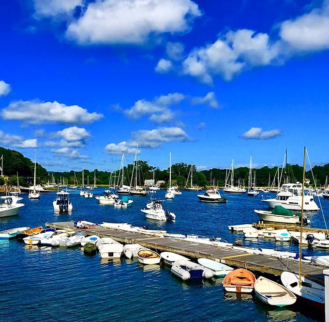 Sailboats cluster like butterflies on blue water. Manchester-by-the-Sea's harbor is New England coastal perfection.