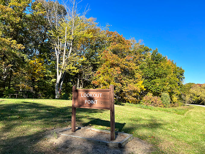 A sunny day at Mississippi Palisades State Park&rsquo;s Lookout Point, where the promise of a breathtaking view awaits just beyond the trees.