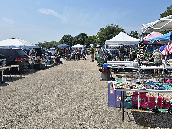 Shoppers stroll through Morning Sun's outdoor section, where unexpected treasures wait around every corner.