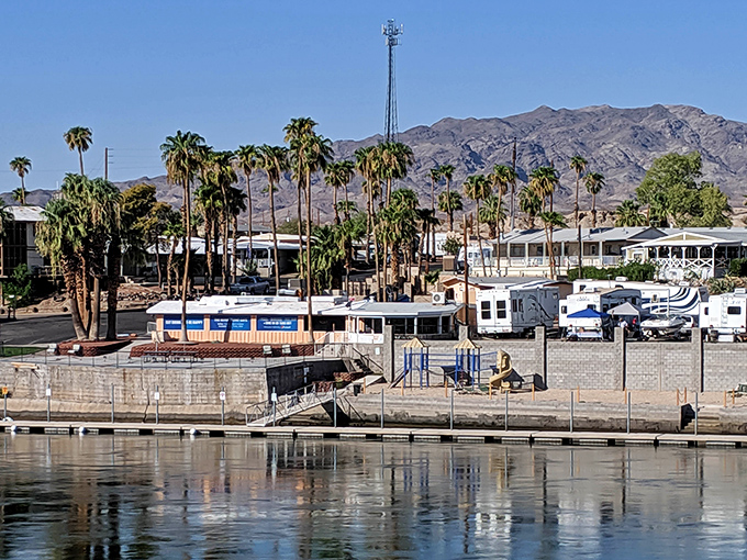 The Colorado River flows nearby, providing nature's air conditioning for a desert town that mastered the art of staying cool.