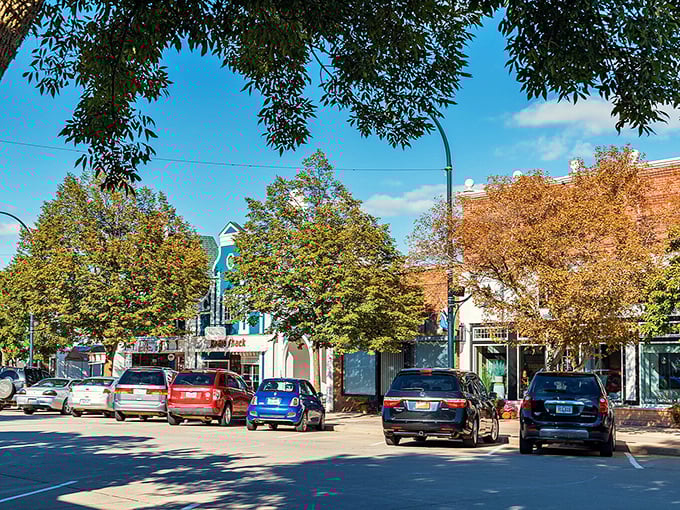 Orange City's downtown buildings stand behind the trees shoulder-to-shoulder like old friends. Six stories of history in a single glance.