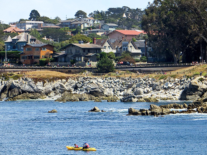 The rugged coastline of Pacific Grove offers front-row seats to nature's greatest show: the meeting of land and sea.