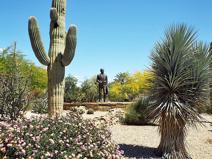 Desert botanical gardens showcase Paradise Valley's prickly residents in their natural habitat. Where cacti are celebrities and flowers steal the show!