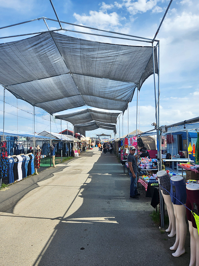 Wide open spaces and mountain views create the perfect backdrop for serious flea market exploration.